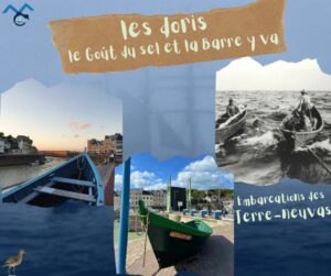 Restauration de doris - Courlis de la Manche